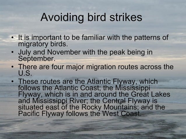 Bird strikes hazards and avoidance | PPT | Air Travel | Travel Type