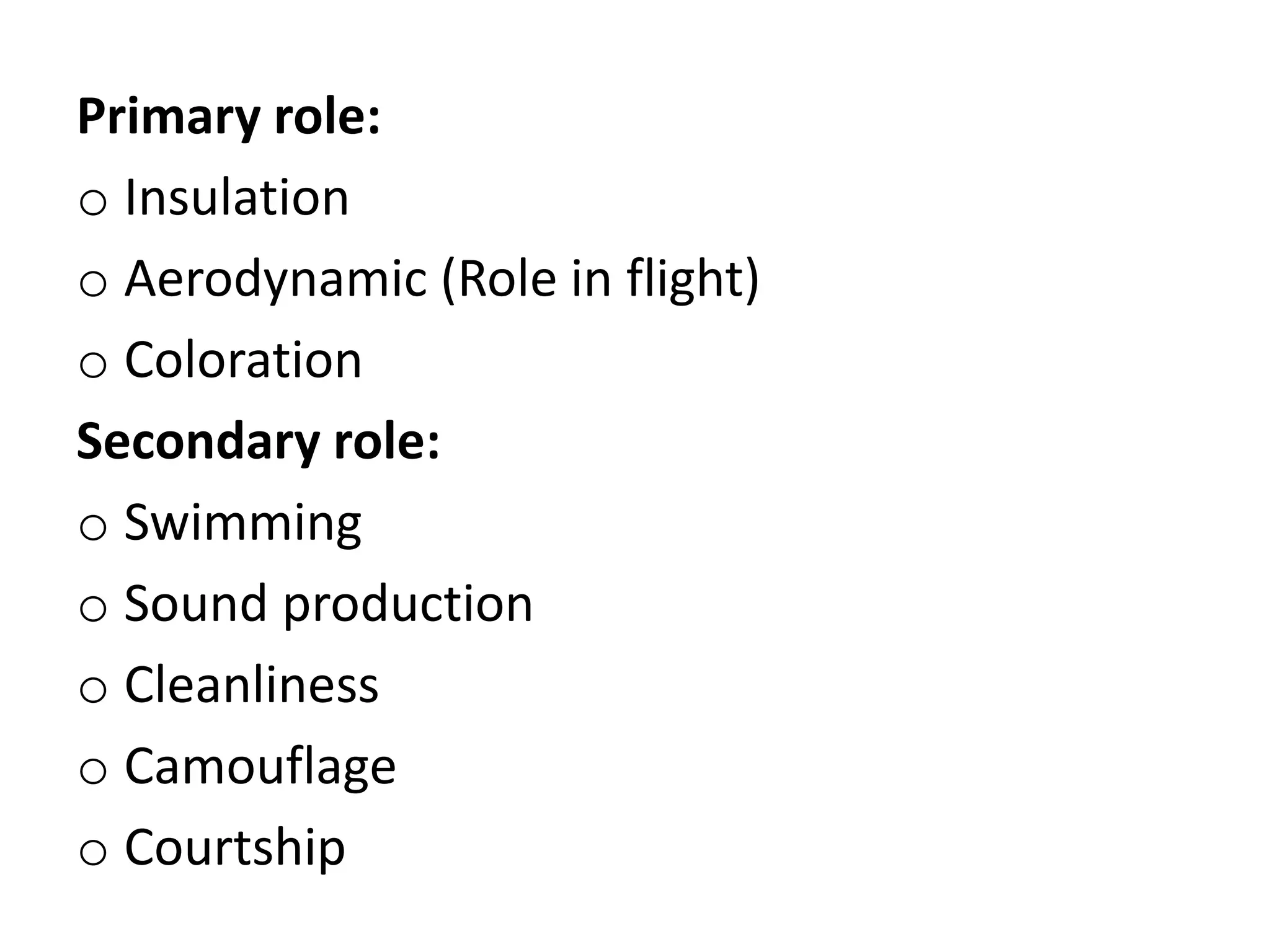 Bird Structure & Function (Feathers).pptx