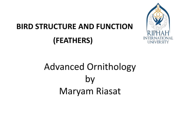 Bird Structure & Function (Feathers).pptx | Birds | Pets