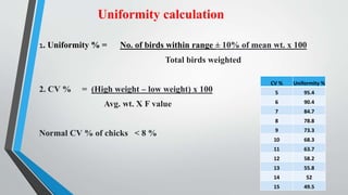 Birds uniformity | PPTX