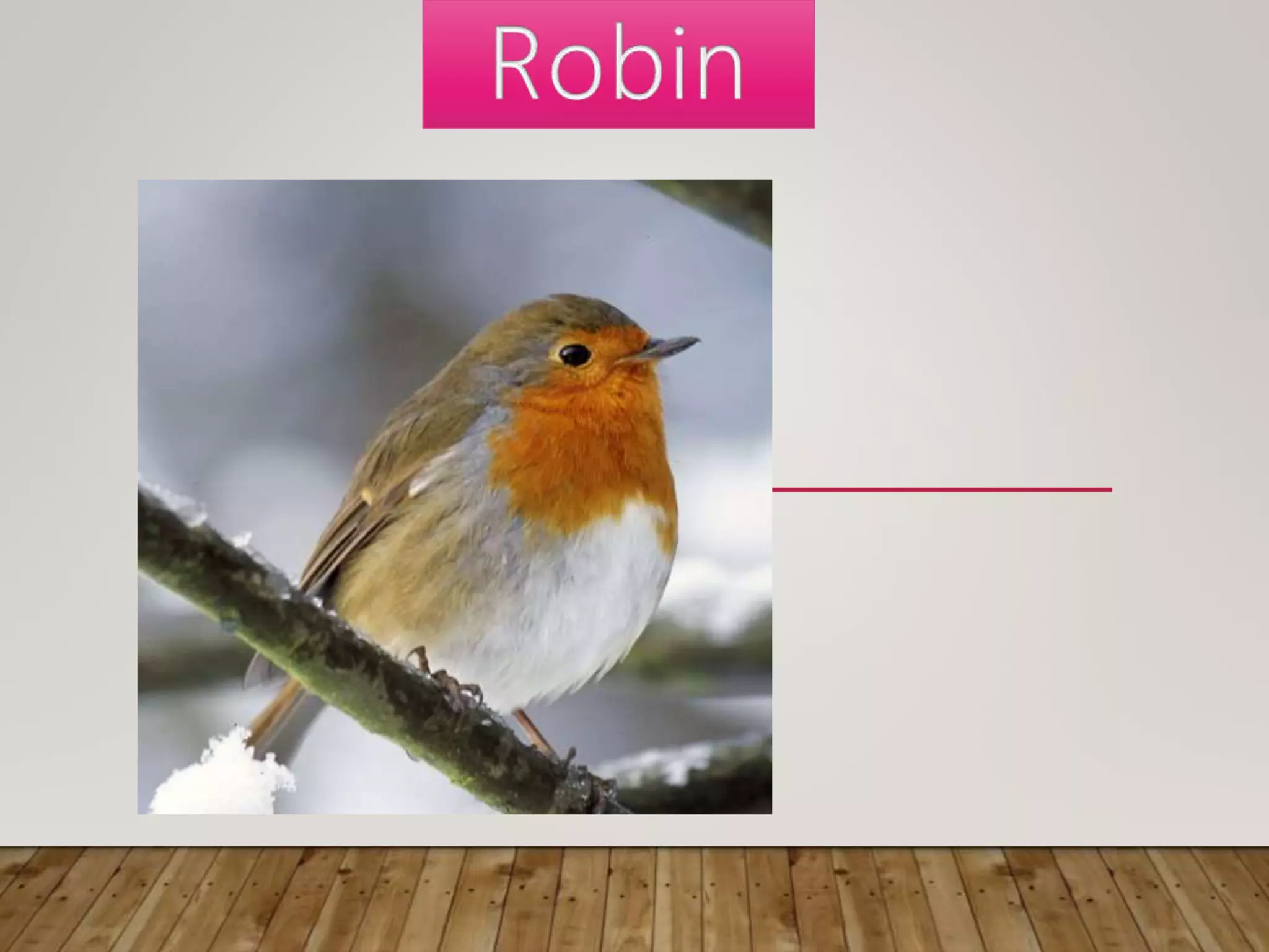 Bird talk aileen fisher | PPTX