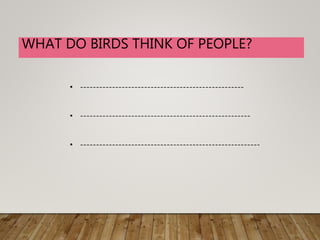 Bird talk aileen fisher | PPTX