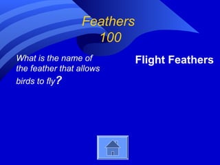 Bird test review | PPT