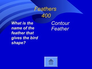 Bird test review | PPT | Birdwatching | Hobbies & Interests