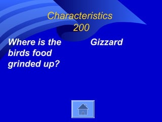 Bird test review | PPT