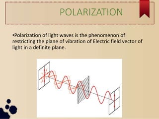 Birefringence Polarized Light