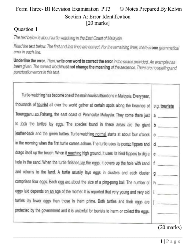 Bi revision examination PT3 By Kelvin | PDF