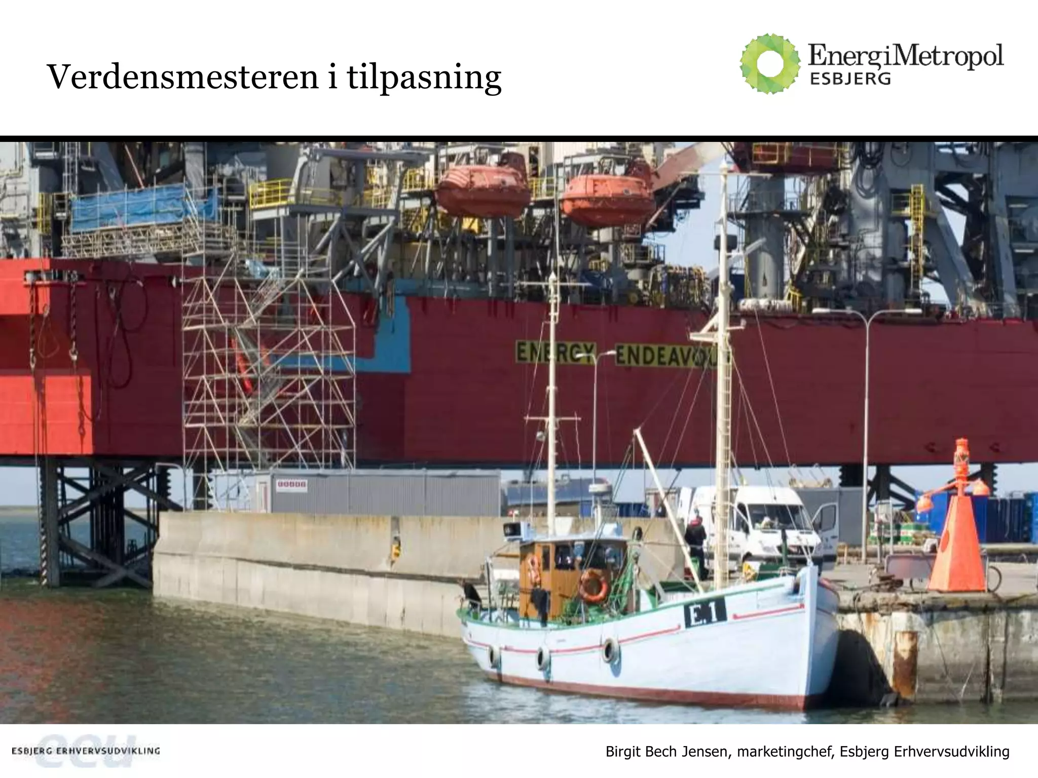 Birgit Bech Jensen - Energimetropol Esbjerg. Sådan brander man en hel ...