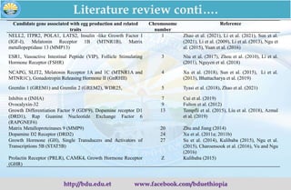 Birhan_Seminar presentation Bahir Dar .pptx