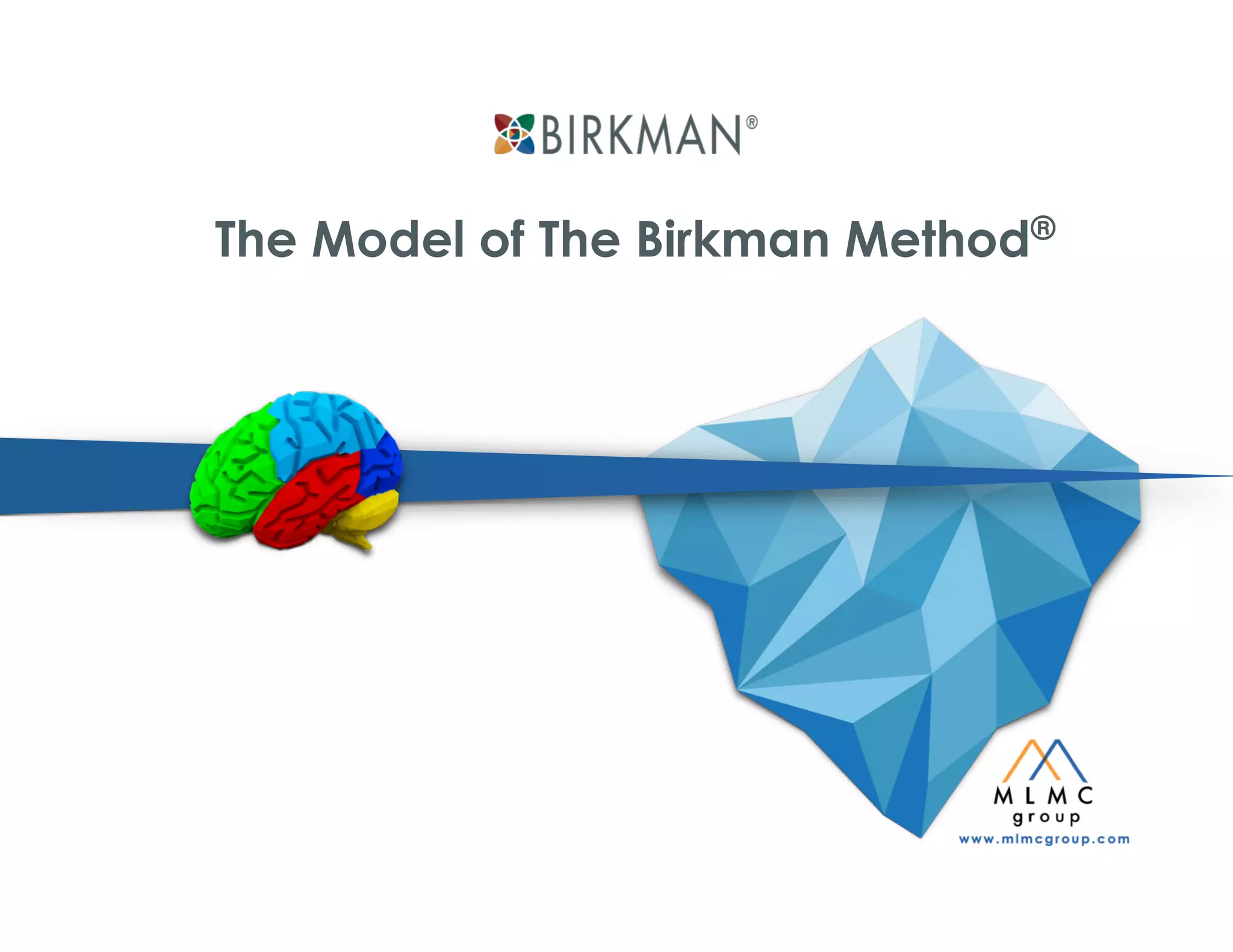 Model of The Birkman Method assessment | PDF