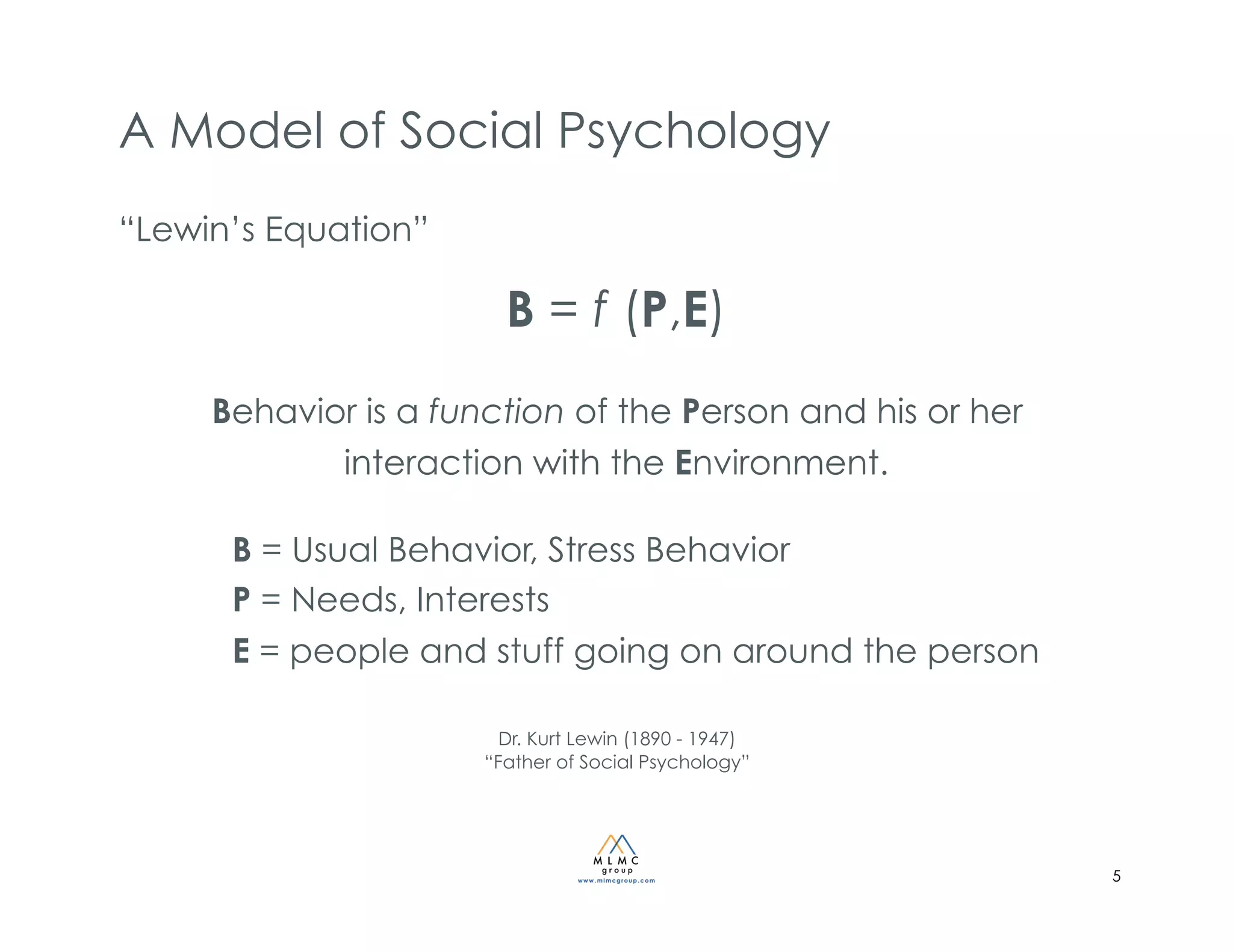 Model of The Birkman Method assessment | PDF