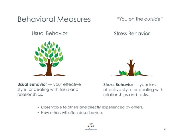 Model of The Birkman Method assessment | PDF | Medical Health