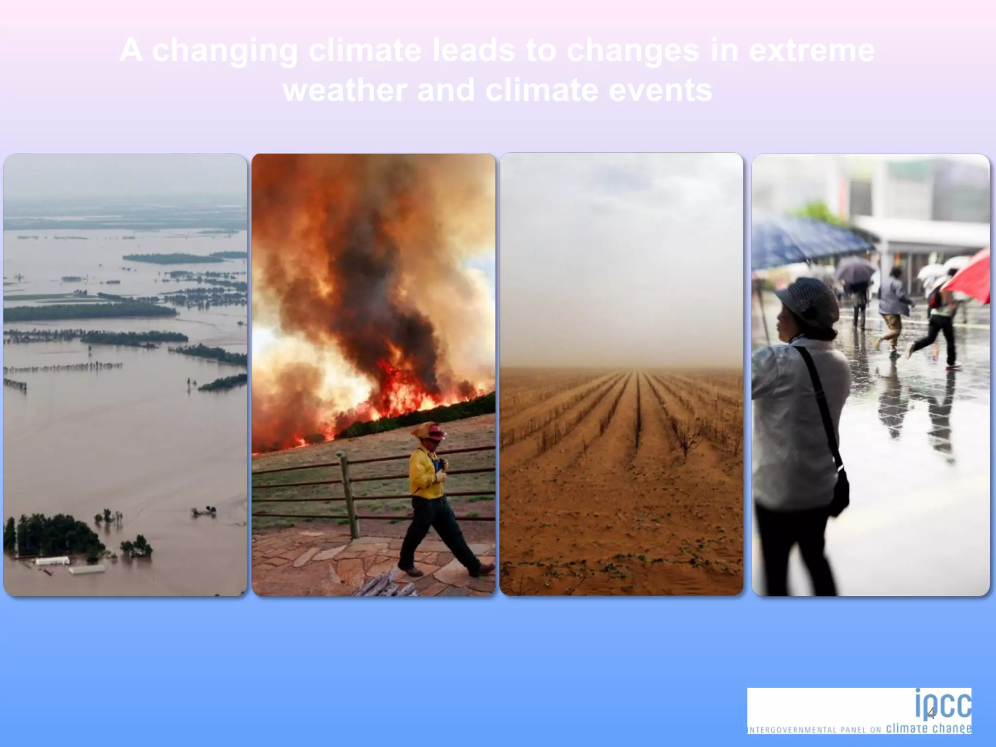 Rio+20 and the future of sustainability and disaster risk reduction ...