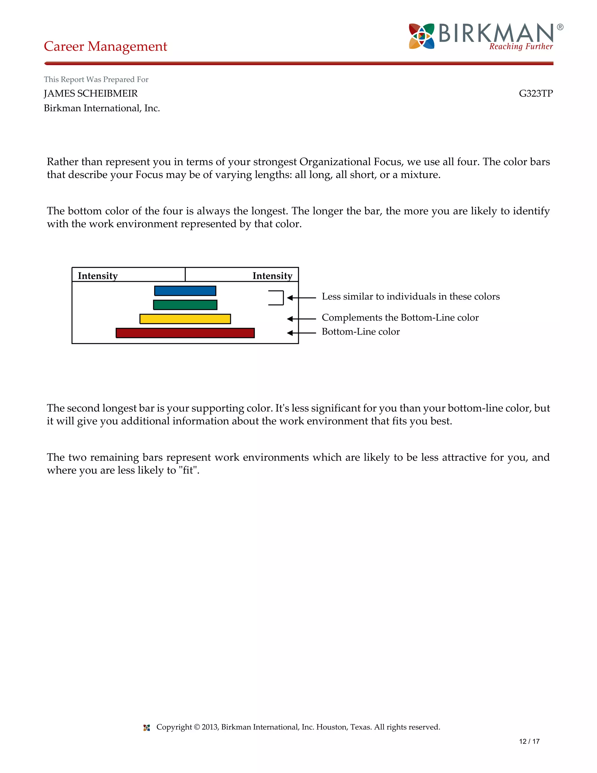 Birkman - Scheibmeir Results | PDF