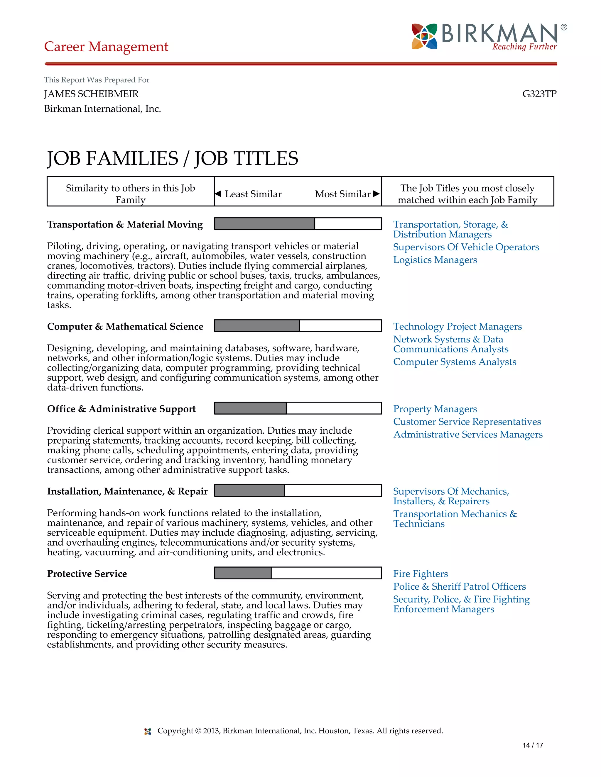 Birkman - Scheibmeir Results | PDF
