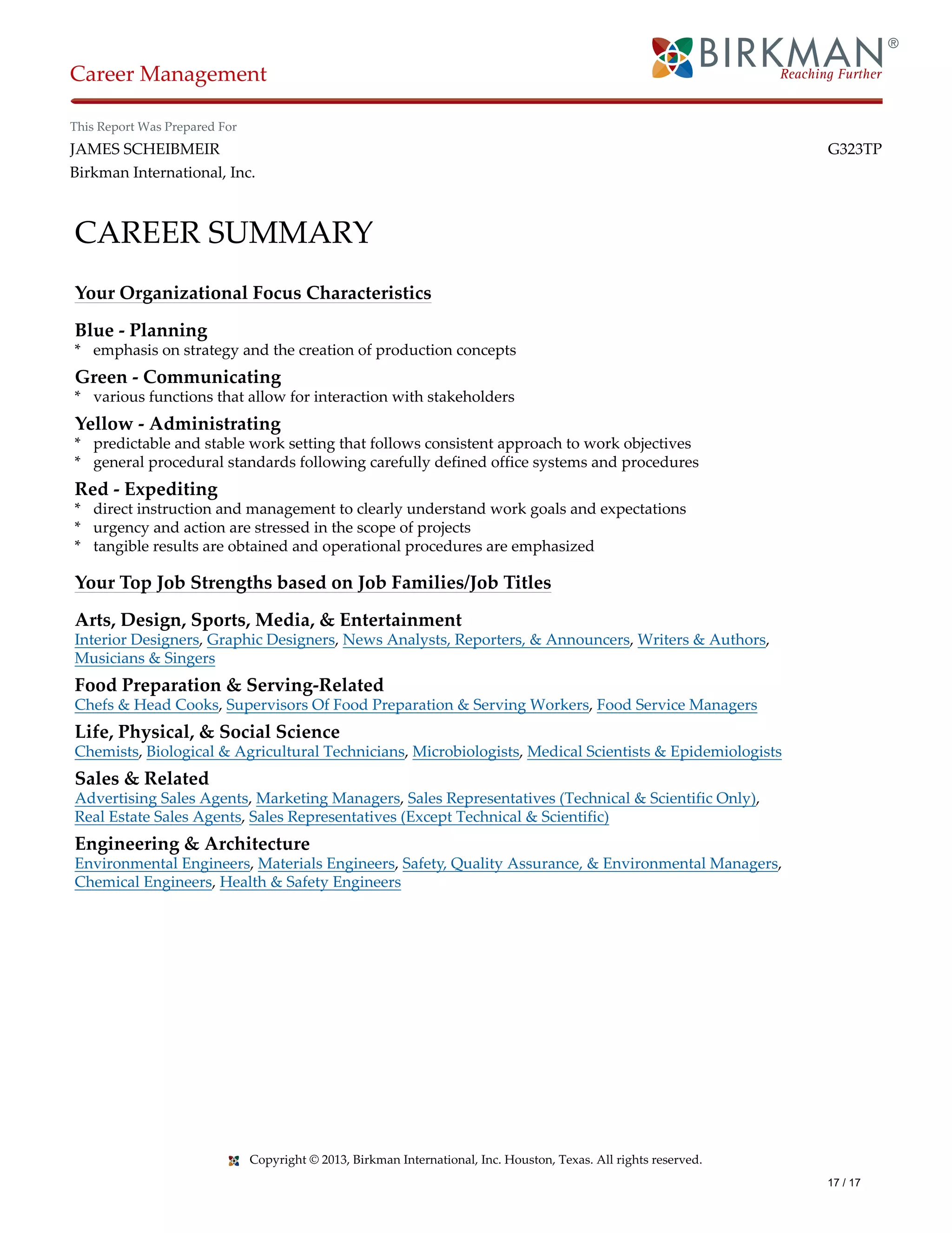 Birkman - Scheibmeir Results | PDF