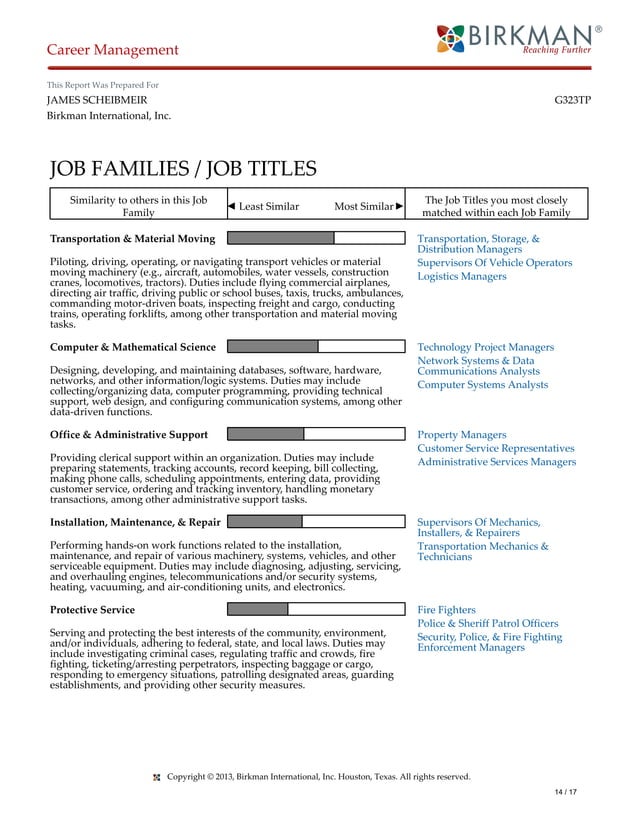 Birkman - Scheibmeir Results | PDF