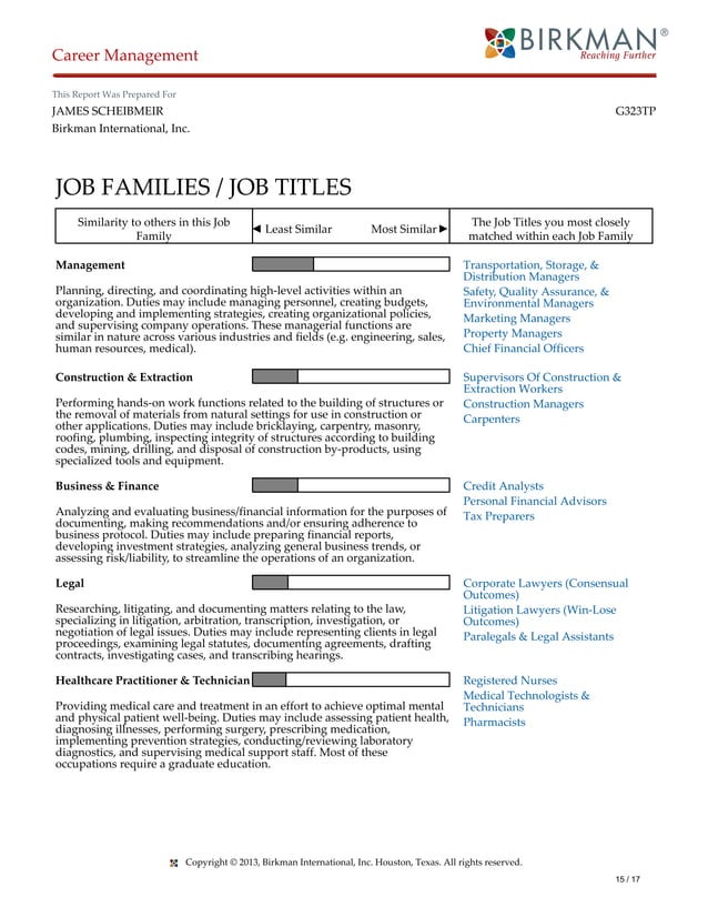 Birkman - Scheibmeir Results | PDF