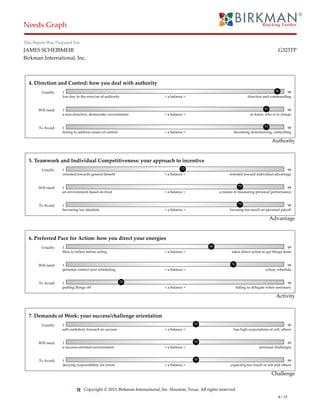 Birkman - Scheibmeir Results | PDF