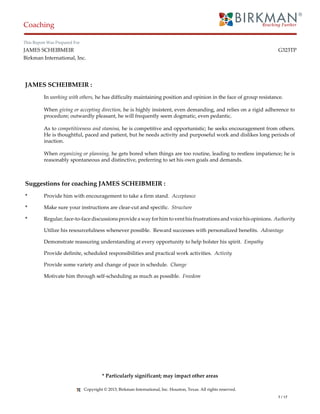 Birkman - Scheibmeir Results | PDF