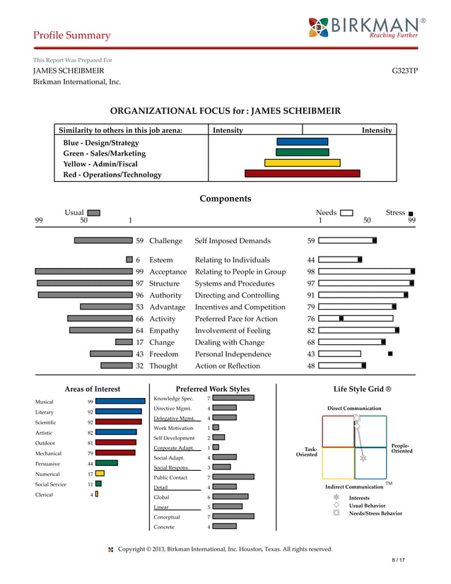 Birkman - Scheibmeir Results | PDF