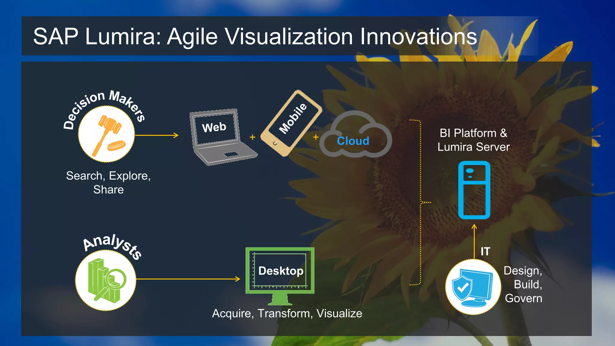 SAP BI Roadmap | PDF | Cloud Computing | Internet