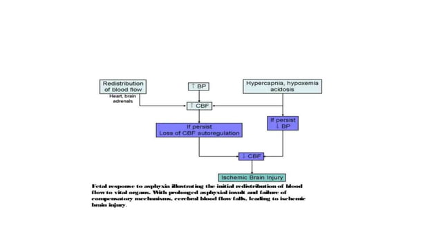 Birth Asphyxia.pptx | Pregnancy | Reproductive Health