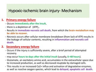 Birth Asphyxia.pptx