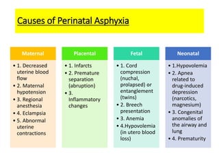 Birth Asphyxia.pptx