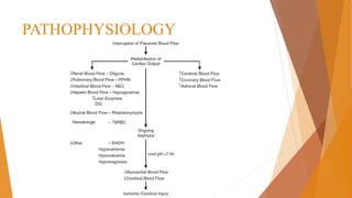 Birth Asphyxia.pptx