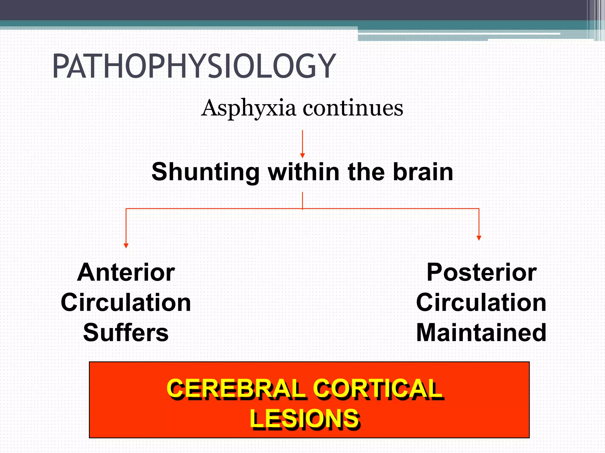 Birth asphyxia 2 | PPTX