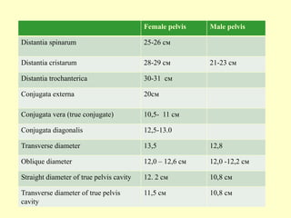 Birth canal obstetric birth canal ppt and it’s | PPT | Pregnancy ...