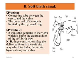 Presentation about Birth canal animals .pdf