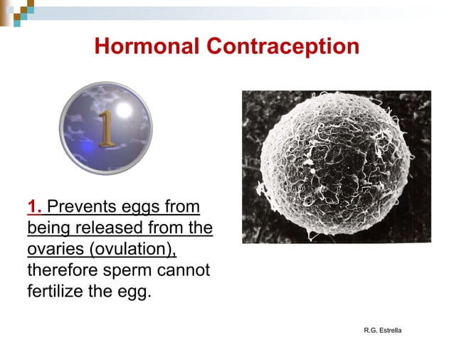 Contraception | PPTX | Birth Control | Reproductive Health