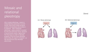 birth defects developmental biology ppt | PPTX