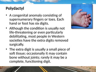 embryology and the parts BirthDefects6.ppt