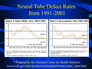 Birthdefects_andmchpyramid.ppt