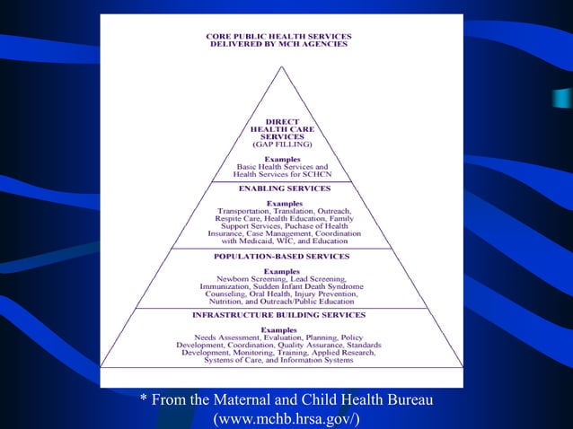 Birthdefects_andmchpyramid.ppt