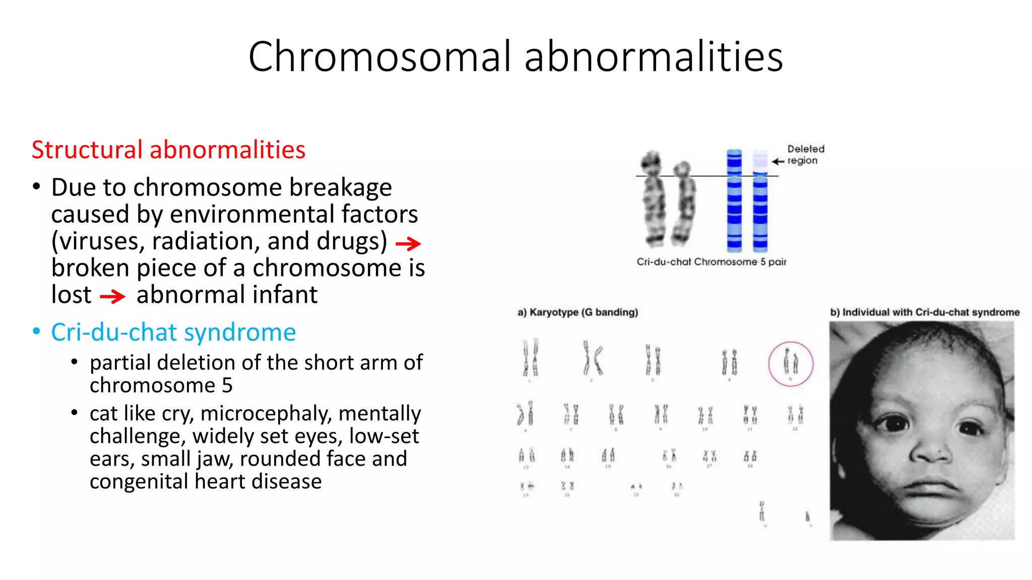 Birth defects and prenatal diagnosis | PPTX