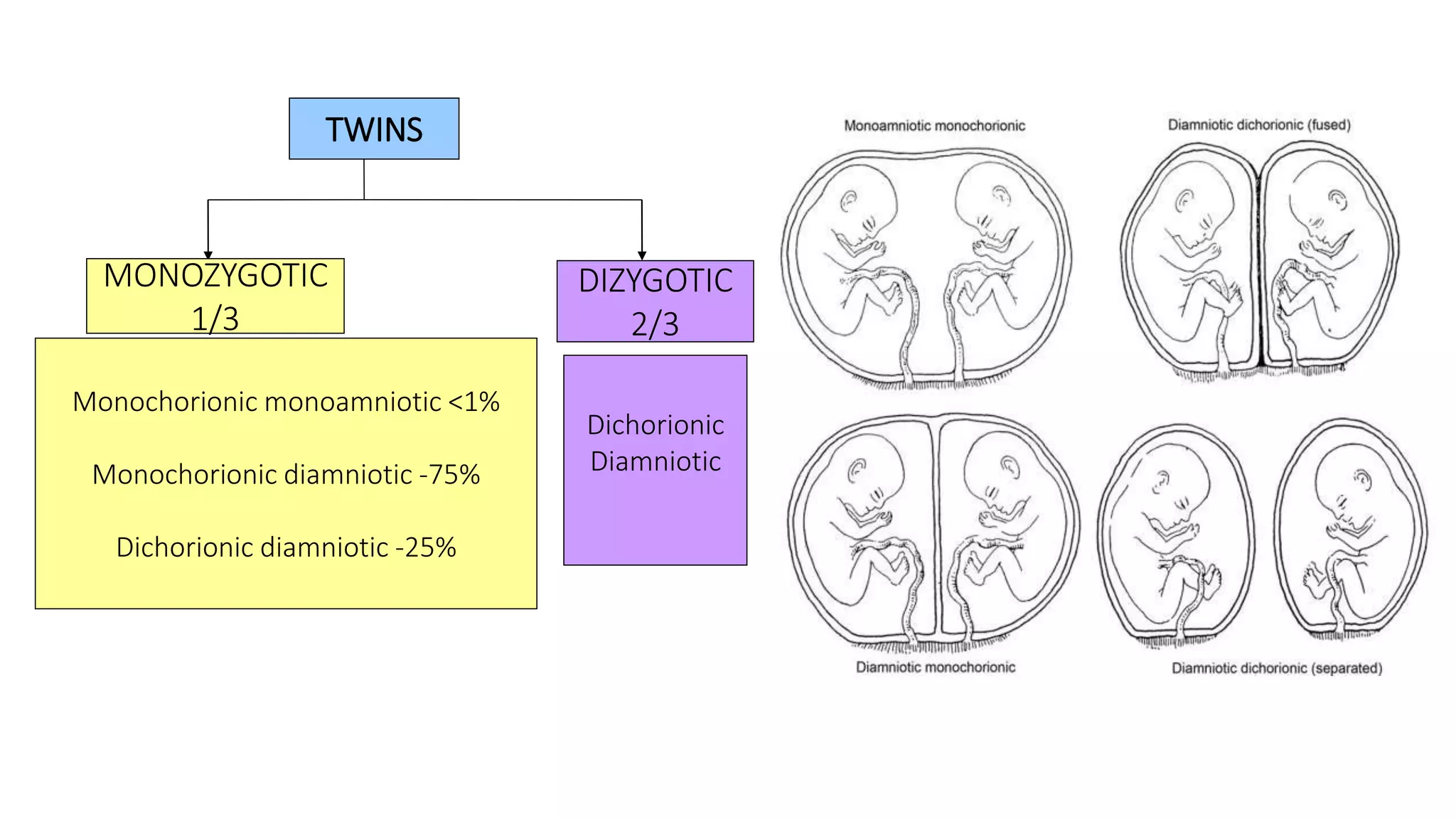 Birth defects and prenatal diagnosis | PPTX