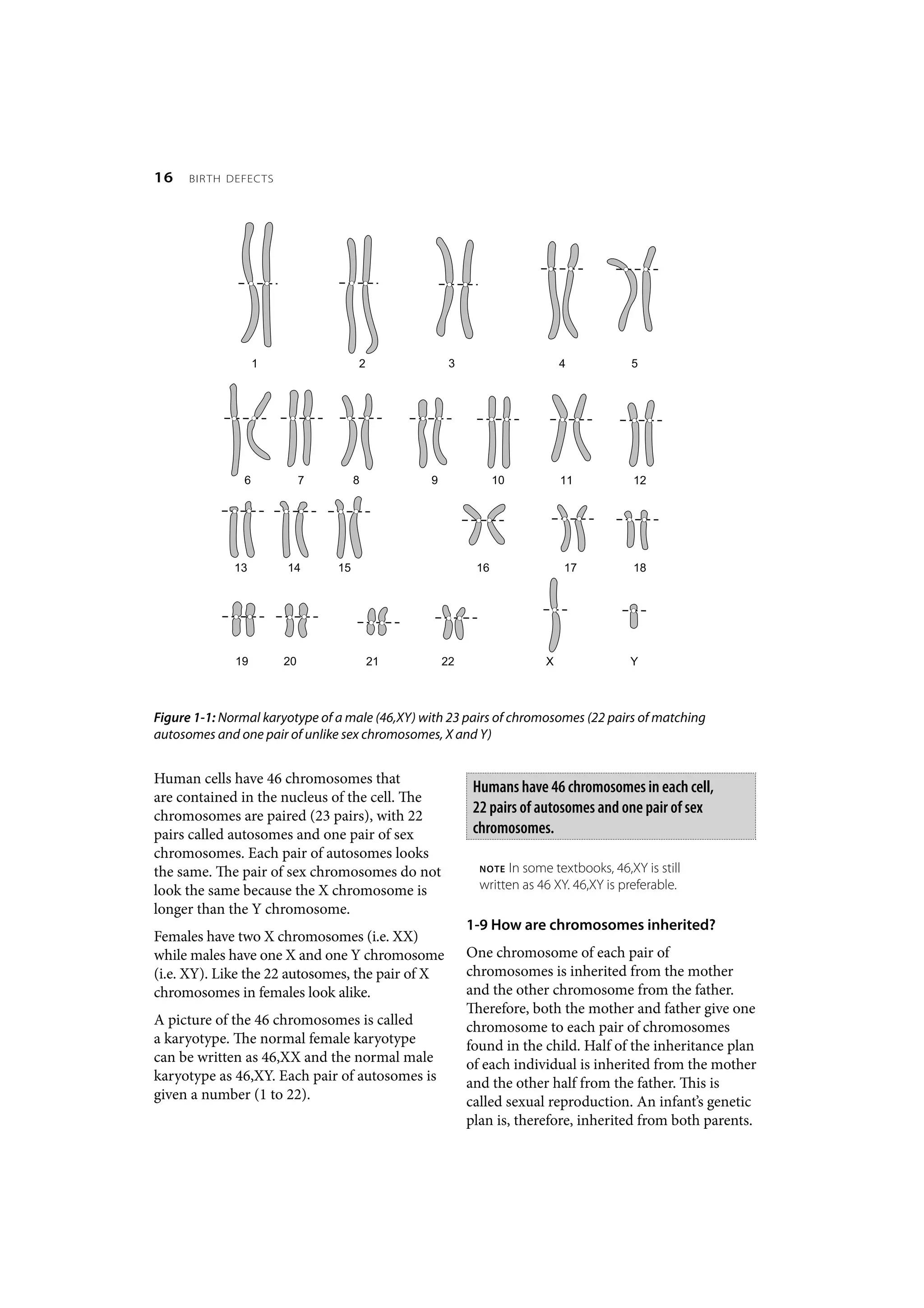 Birth Defects: Introduction to birth defects | PDF