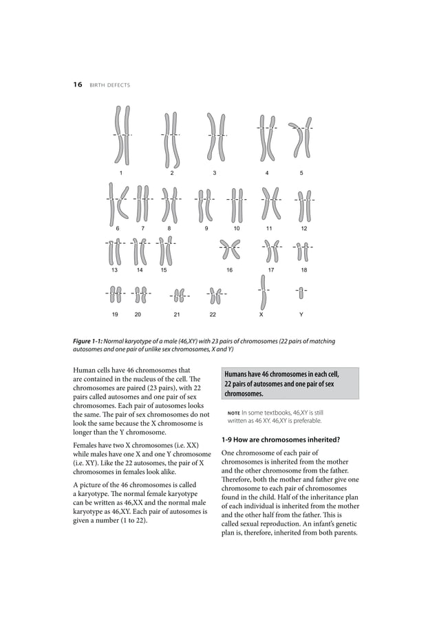 Birth Defects: Introduction to birth defects | PDF