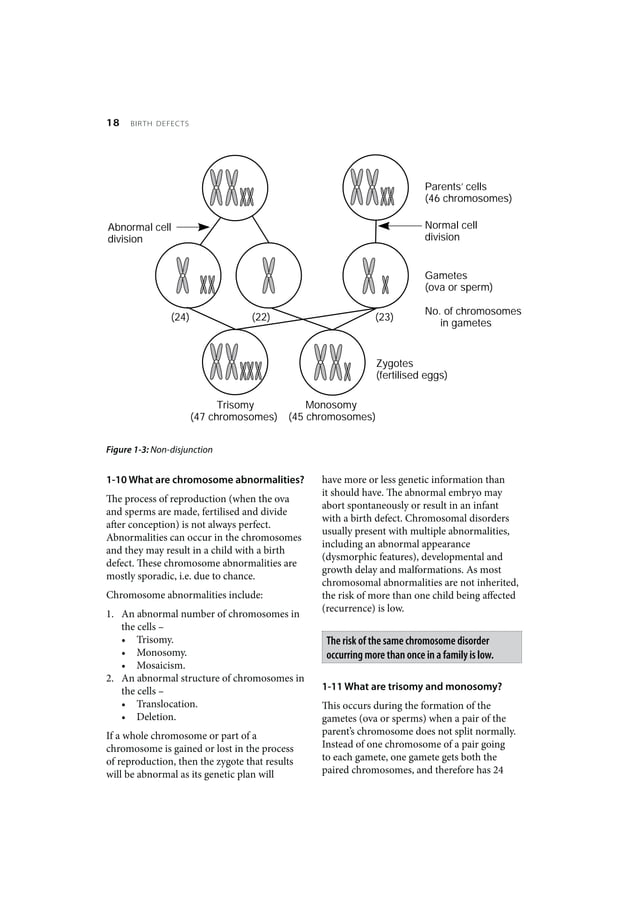 Birth Defects: Introduction to birth defects | PDF