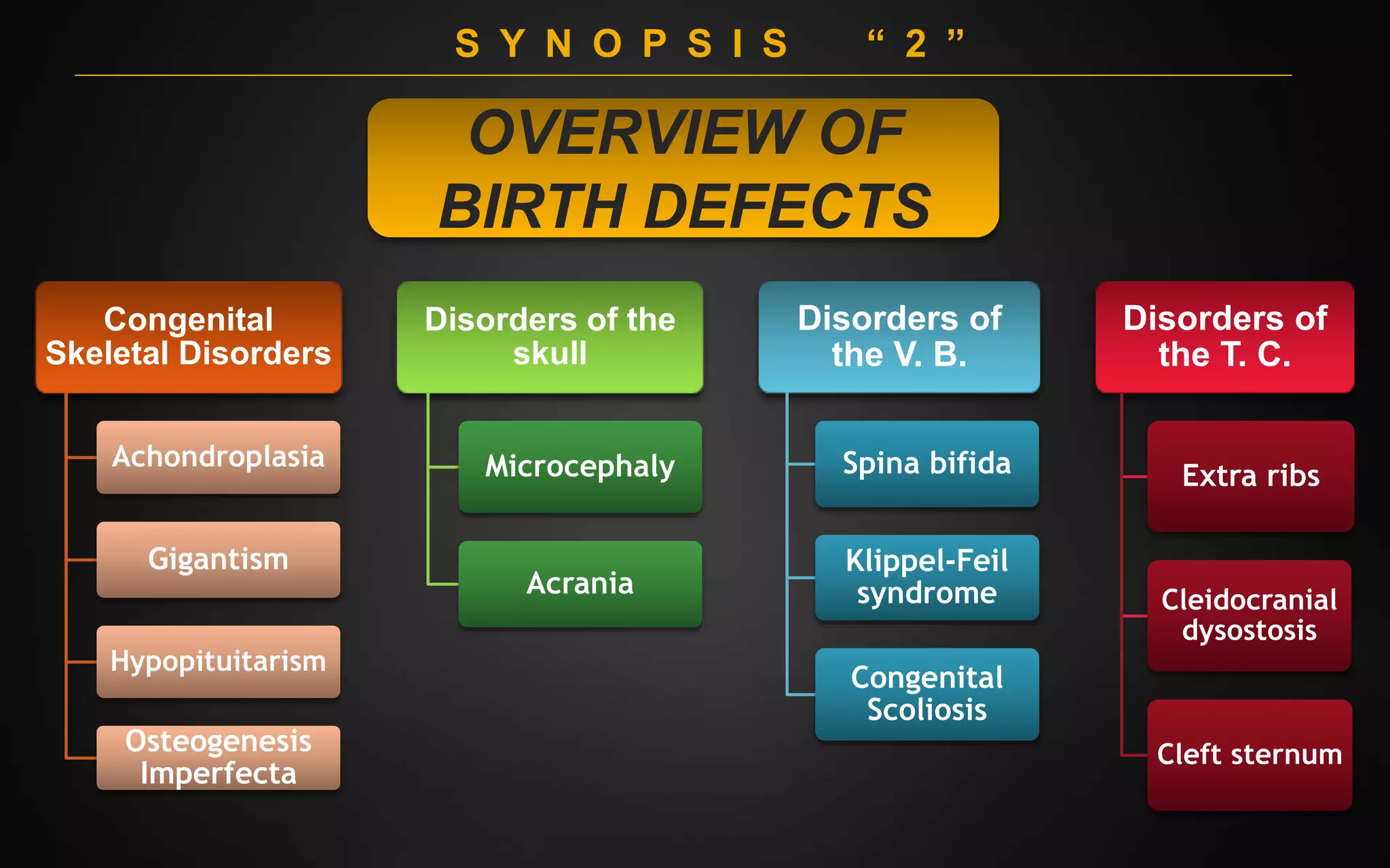 Birth Defects | PPTX