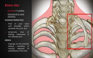 Birth Defects | PPTX