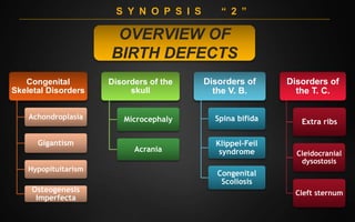 Birth Defects | PPTX