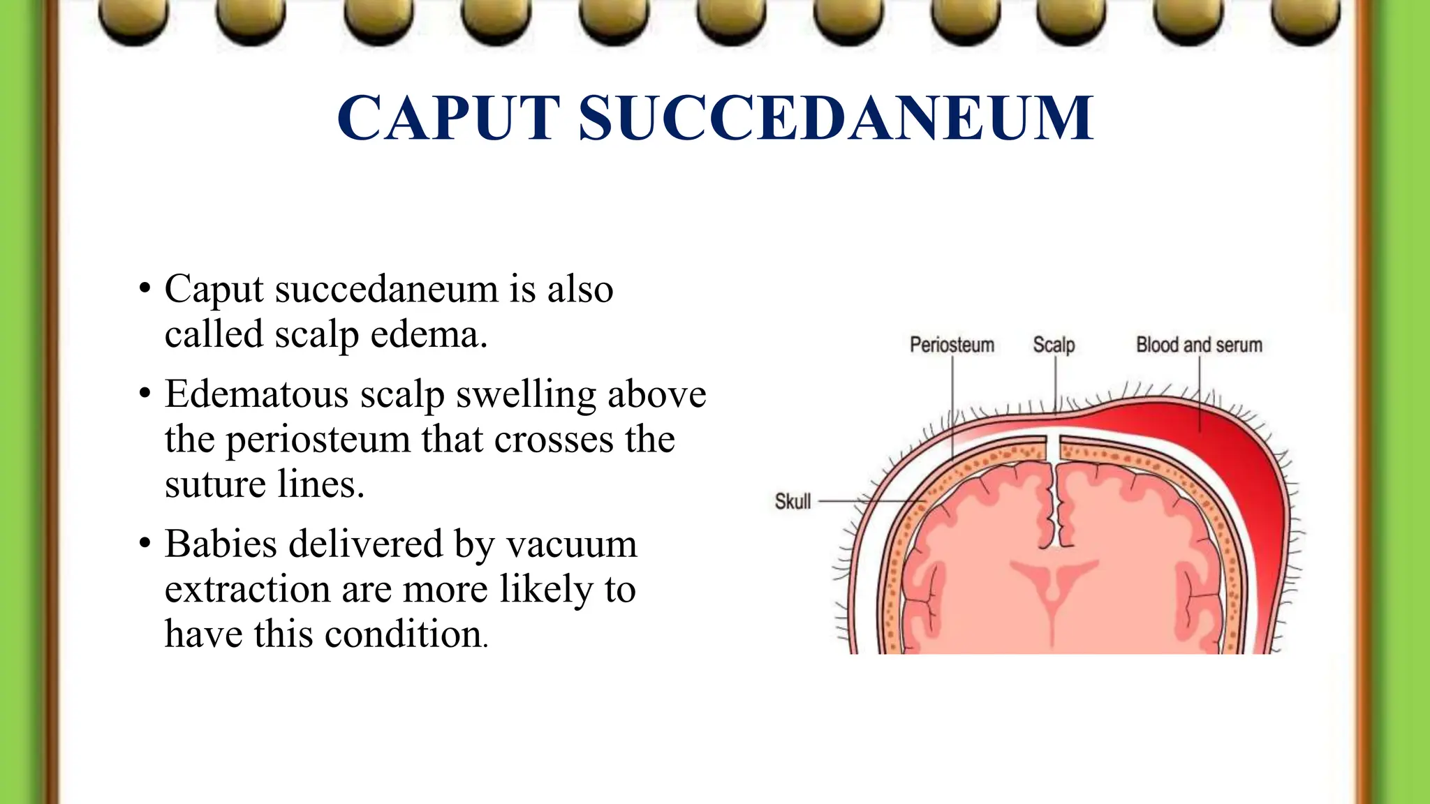 birth injuries. by Preeti Kulshrestha MSc. nursing final year pptx | PPT