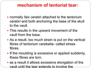 Birthinjuriesandicterusneonatarum | PPT