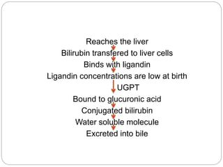 Birthinjuriesandicterusneonatarum | PPT