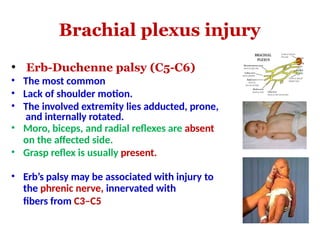 Birth Injuries OF THE BRACHIAL PLEXUS Dr. Ayman Awlia.pptx